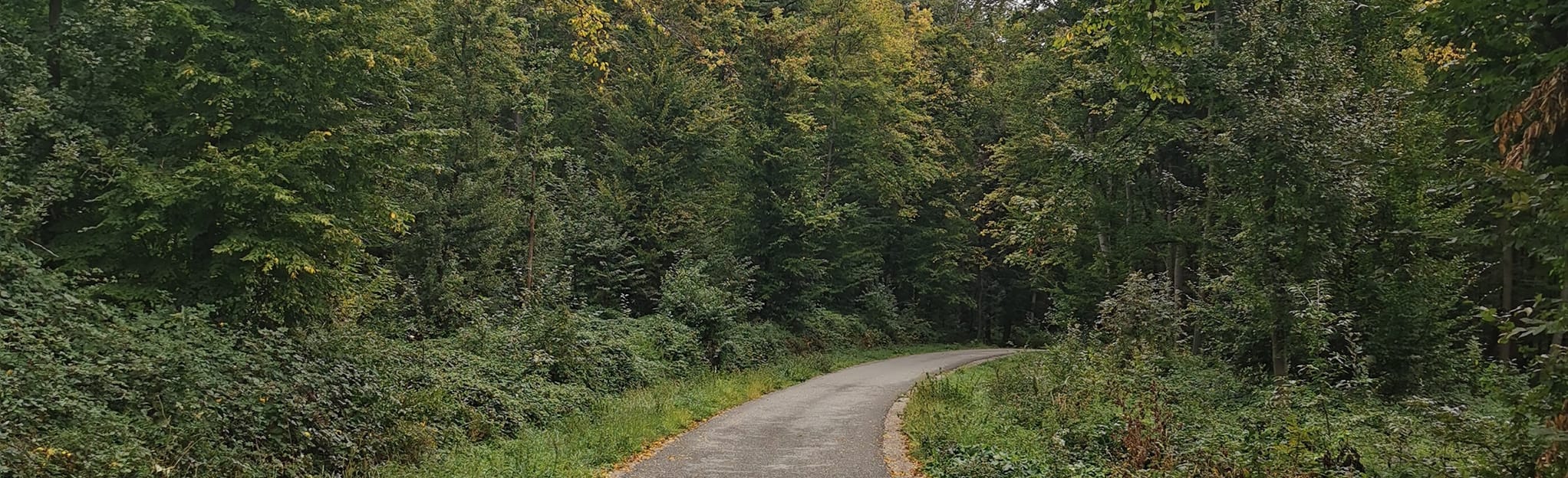 Loop in the Lainzer Tiergarten: 4 Reviews, Map - Vienna, Austria ...