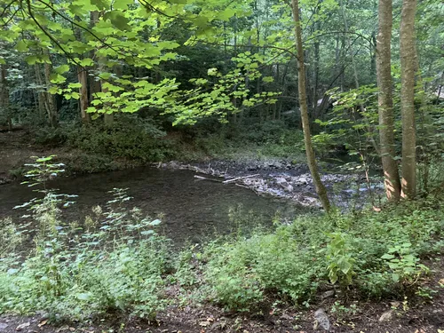 10 Best Hikes and Trails in Hanmer Forest Park | AllTrails