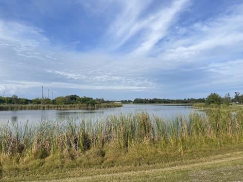 Best Hikes and Trails in Spanish River Athletic Park | AllTrails