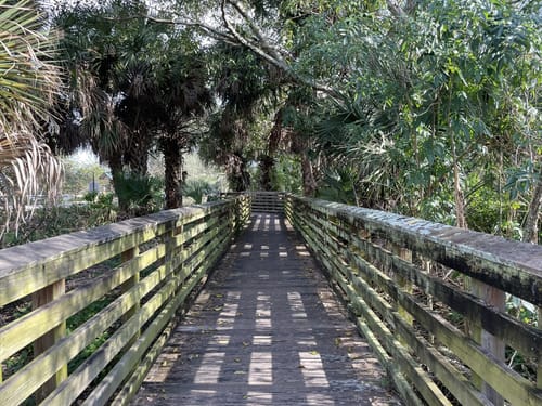 Best Hikes and Trails in Spanish River Athletic Park | AllTrails