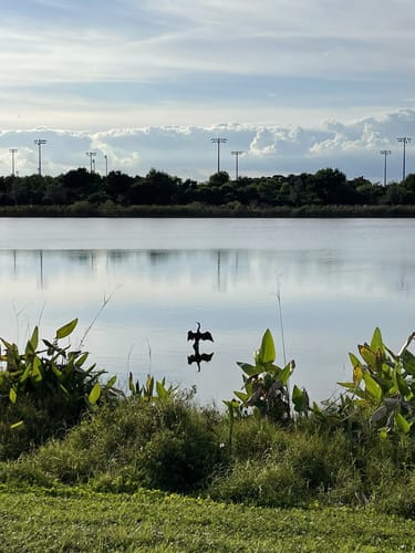 Best Hikes and Trails in Spanish River Athletic Park | AllTrails