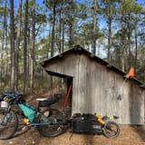 Neusiok Trail, North Carolina - 92 Reviews, Map | AllTrails
