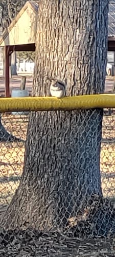 Best Hikes and Trails in John Laderman Park | AllTrails