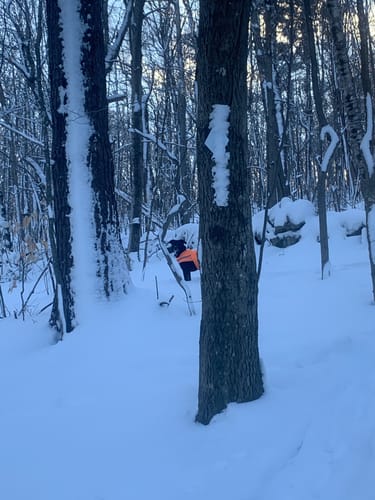 Best Hikes and Trails in Alton Town Forest | AllTrails