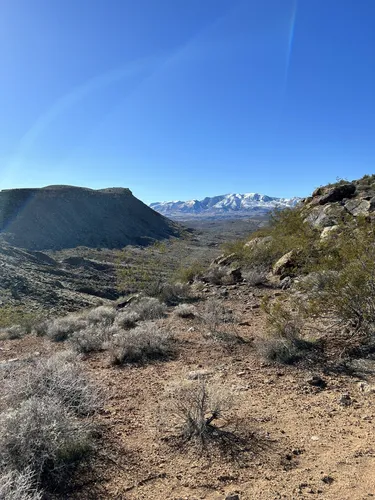 Best Hikes and Trails in Santa Clara River Reserve | AllTrails