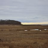 Barn Island Wildlife Management Area Trail, Connecticut - 627 Reviews ...