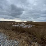 Barn Island Wildlife Management Area Trail, Connecticut - 586 Reviews ...