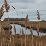 Barn Island Wildlife Management Area Trail, Connecticut - 594 Reviews ...