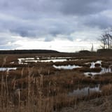 Barn Island Wildlife Management Area Trail, Connecticut - 627 Reviews ...