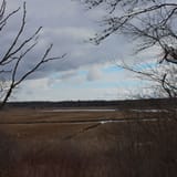 Barn Island Wildlife Management Area Trail, Connecticut - 594 Reviews ...