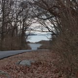 Barn Island Wildlife Management Area Trail, Connecticut - 627 Reviews ...