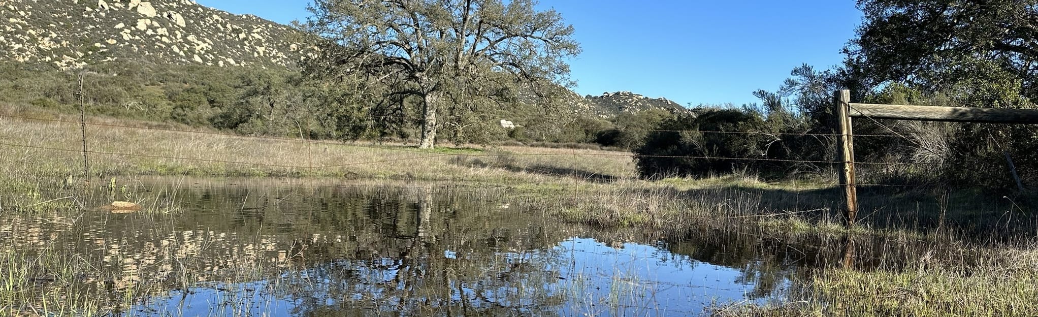 Tenaja Truck Trail, California - 81 Reviews, Map | AllTrails