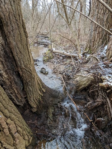 2023 Best trails in Myeerah Nature Preserve | AllTrails