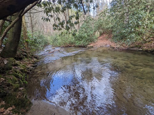 2023 Best Horseback Riding Trails in Chattahoochee-Oconee National ...