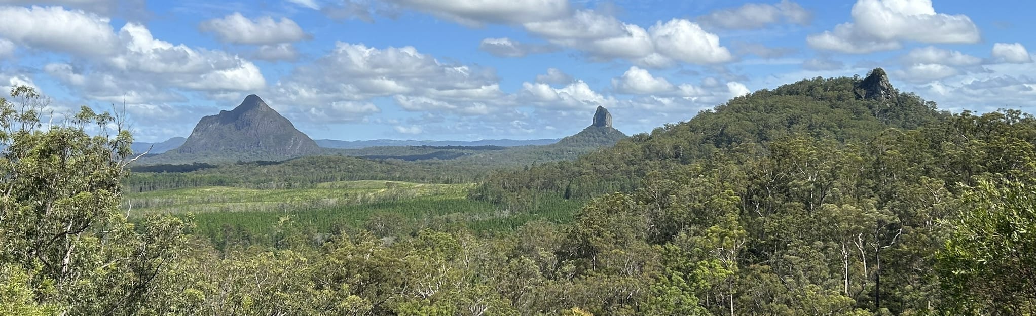 Yul-Yan-Man Track via Jack Ferris Lookout: 935 foto's - Queensland ...