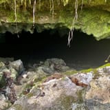 Cecil Cove Loop Trail, Arkansas - 157 Reviews, Map | AllTrails