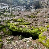 Cecil Cove Loop Trail, Arkansas - 157 Reviews, Map | AllTrails