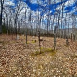 Cecil Cove Loop Trail, Arkansas - 157 Reviews, Map | AllTrails