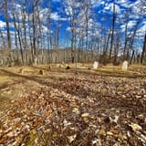 Cecil Cove Loop Trail, Arkansas - 157 Reviews, Map | AllTrails