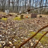 Cecil Cove Loop Trail, Arkansas - 157 Reviews, Map | AllTrails