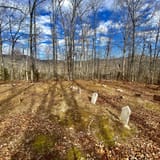 Cecil Cove Loop Trail, Arkansas - 157 Reviews, Map | AllTrails