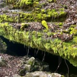 Cecil Cove Loop Trail, Arkansas - 157 Reviews, Map | AllTrails