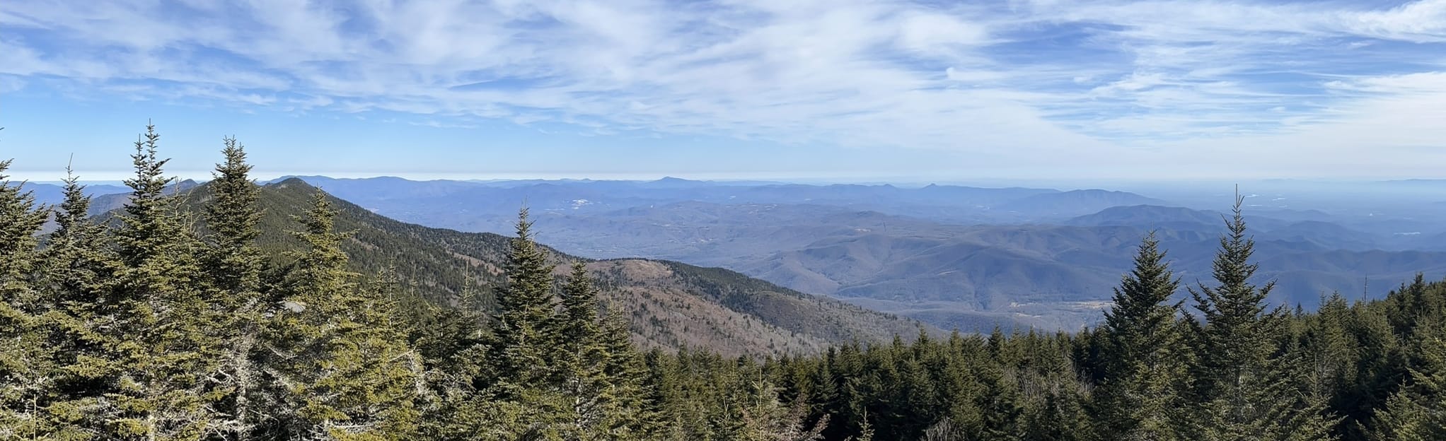 Mount Mitchell Trail, North Carolina - 2,318 Reviews, Map | AllTrails