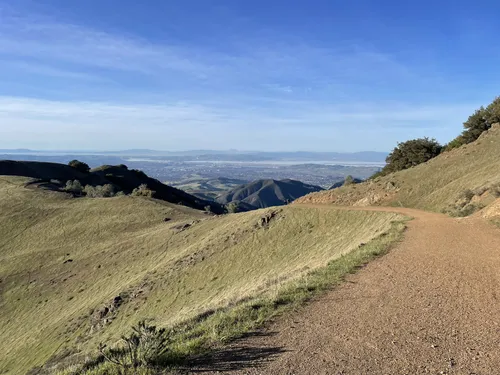 Best Mountain Biking Trails in Mount Diablo State Park | AllTrails