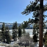 Alpine Pedal Path Trail, California - 786 Reviews, Map | AllTrails