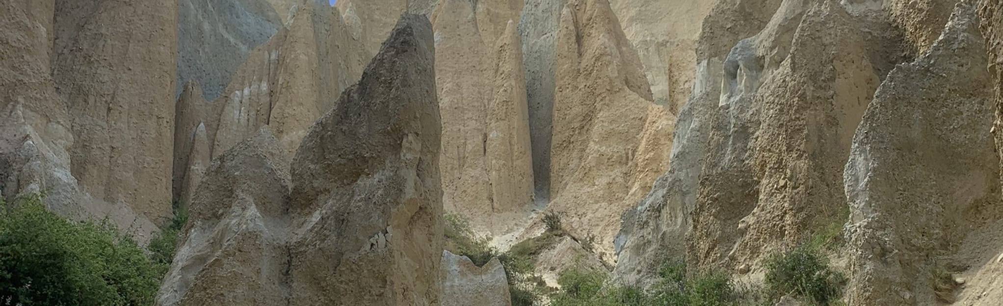 Clay Cliffs Track: 103 Reviews, 122 Photos, Map - Canterbury, New ...