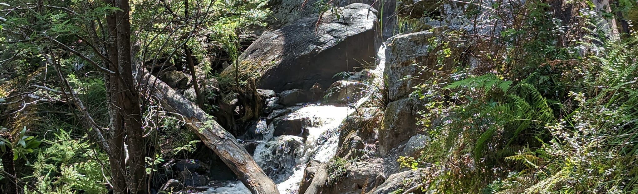 Ship Rock Waterfalls, Victoria, Australia - 10 Reviews, Map | AllTrails