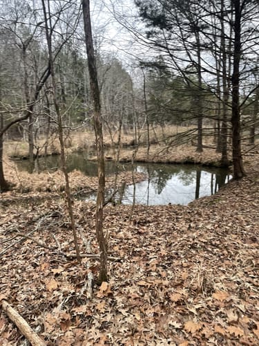 Best Hikes and Trails in Delta National Forest | AllTrails
