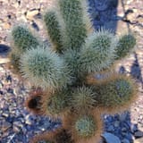 Crystal Hill, Arizona - 62 Reviews, Map | AllTrails