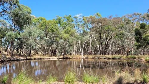 Best Hikes and Trails in Spring Plains Nature Conservation Reserve ...