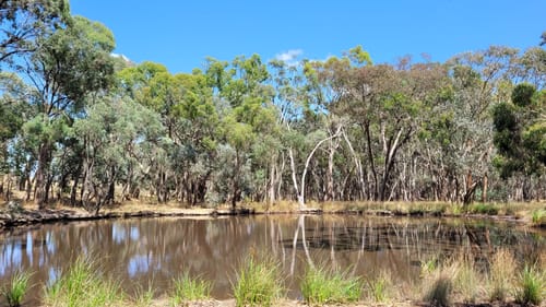 Best Hikes and Trails in Spring Plains Nature Conservation Reserve ...