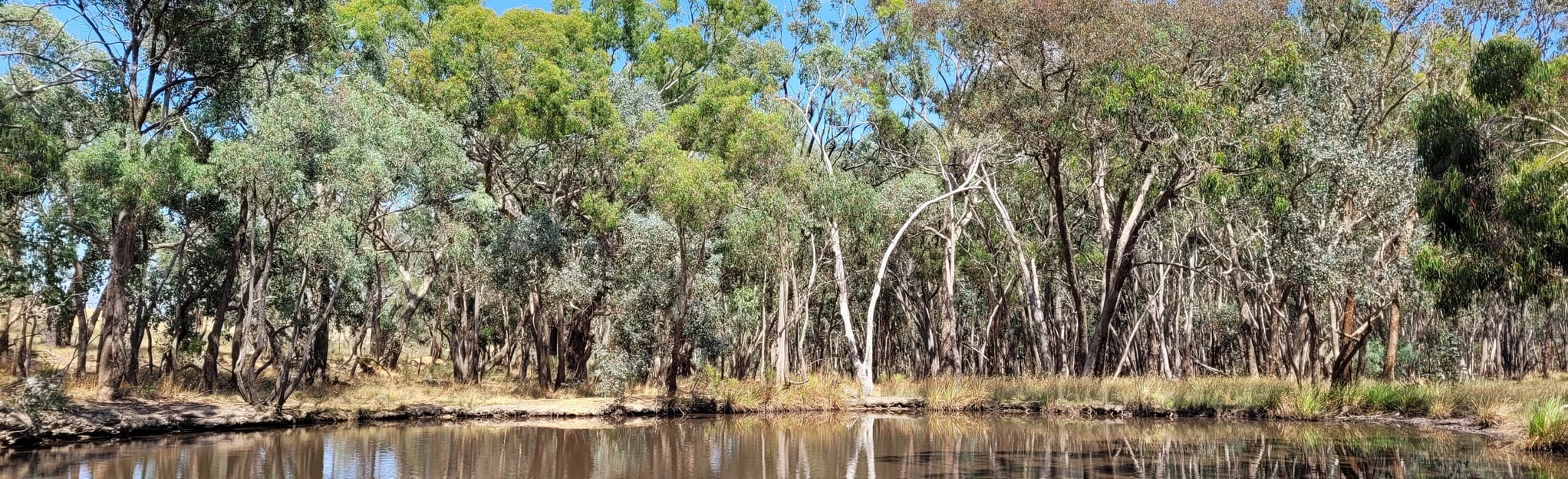 Spring Plains Nature Conservation Reserve Circuit, Victoria, Australia ...