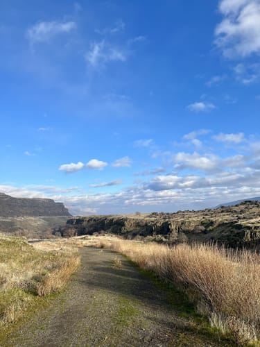 Best Hikes and Trails in Columbia Hills Historical State Park | AllTrails