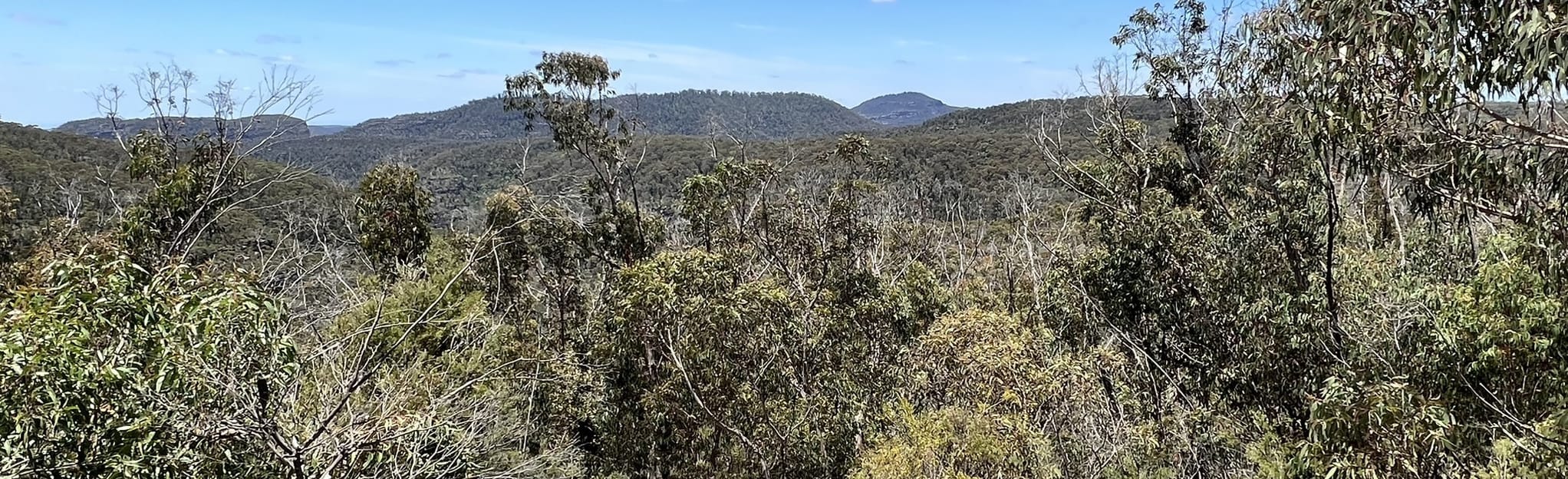 Claustral Canyon, New South Wales, Australia - 10 Reviews, Map | AllTrails