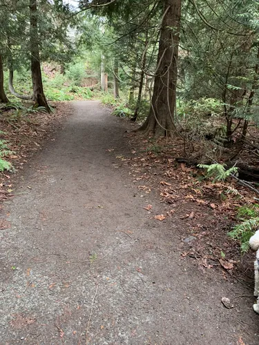 Best Hikes and Trails in Latoria Creek Park | AllTrails