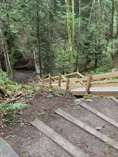 Best Hikes and Trails in Latoria Creek Park | AllTrails