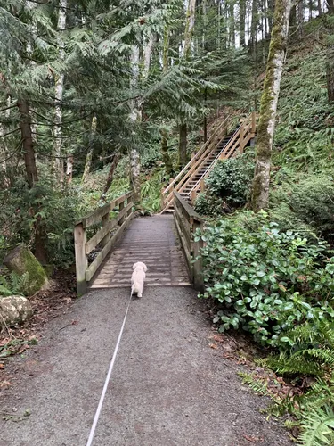 Best Hikes and Trails in Latoria Creek Park | AllTrails