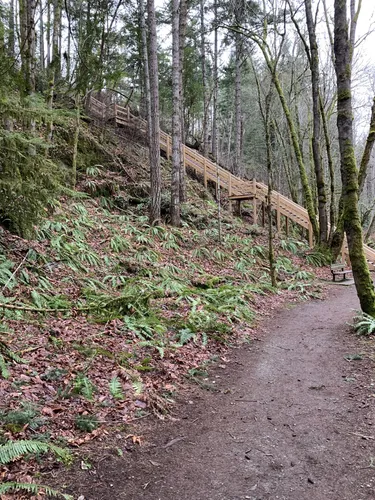 Best Hikes and Trails in Latoria Creek Park | AllTrails