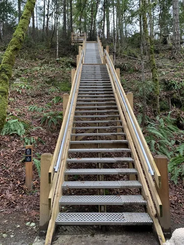 Best Hikes and Trails in Latoria Creek Park | AllTrails