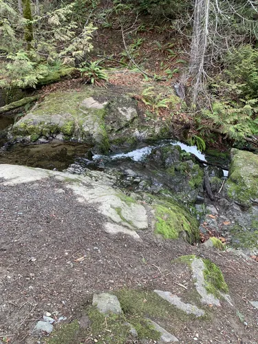 Best Hikes and Trails in Latoria Creek Park | AllTrails