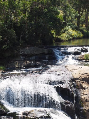 Best Hikes and Trails in Agnes Falls Scenic Reserve | AllTrails