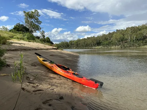 Best Hikes and Trails in Moggill Ferry Reserve | AllTrails