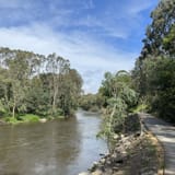 Galatea Point & Dights Falls Loop, Victoria, Australia - 350 Reviews ...