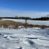 Alix Lake Nature Trail, Alberta, Canada - 62 Reviews, Map | AllTrails