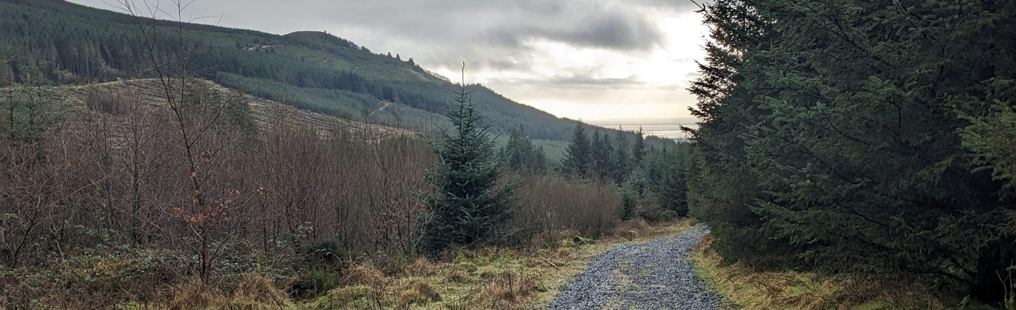 Ravensdale Forest Loop: 57 Reviews, Map - County Louth, Ireland | AllTrails