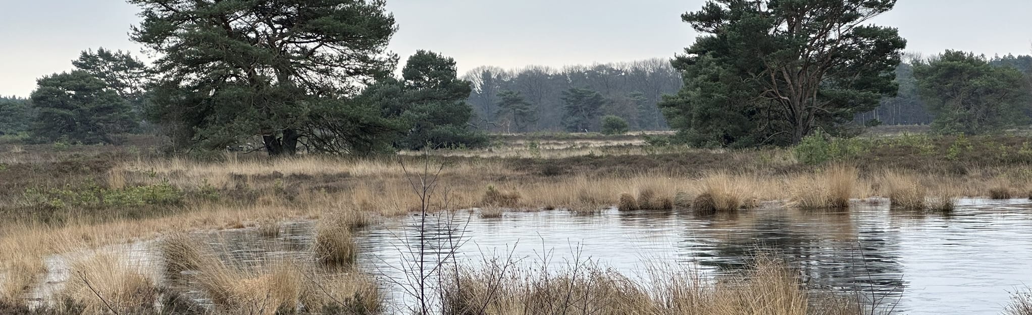 Tongeren Estate Red Trail, Gelderland, Netherlands - 6 Reviews, Map ...